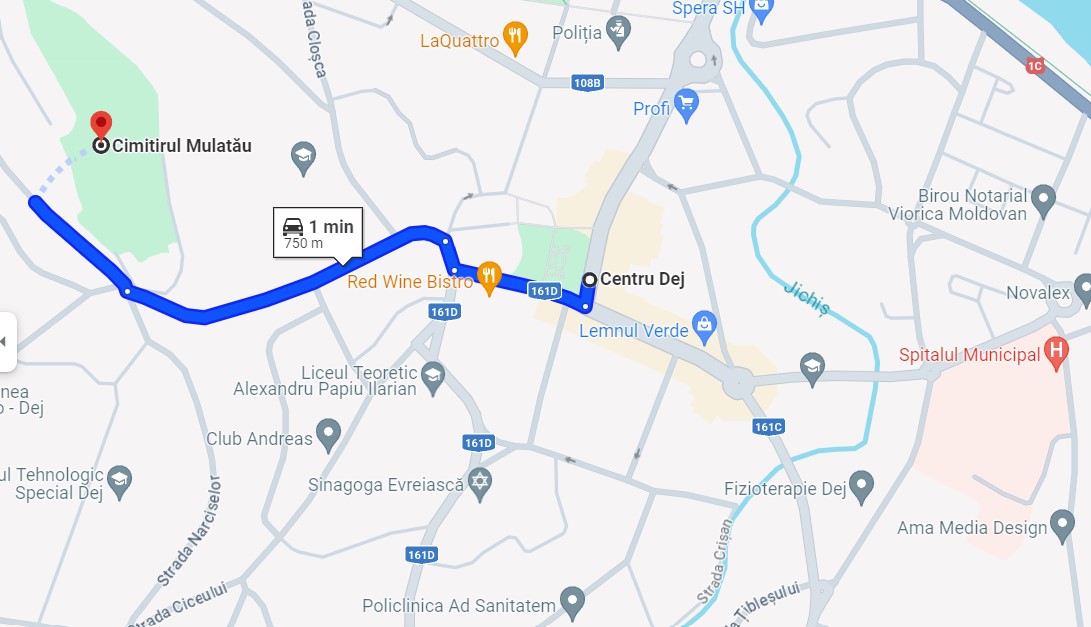Linia N8 – CENTRU – MULATĂU – Transurb Dej